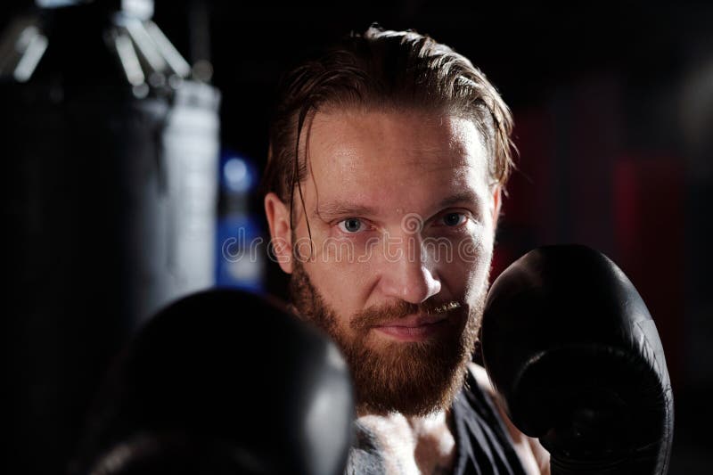 Face of Young Bearded Sweaty Boxer Stock Photo - Image of fight, active ...