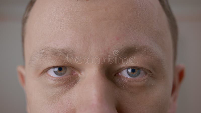 The Face of a Young Man with Gray Eyes, Looking Directly at the Camera ...