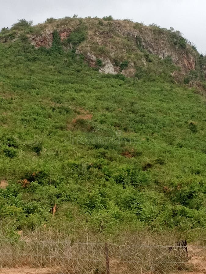 Faced hill side stock image. Image of side, soil, green - 213379249