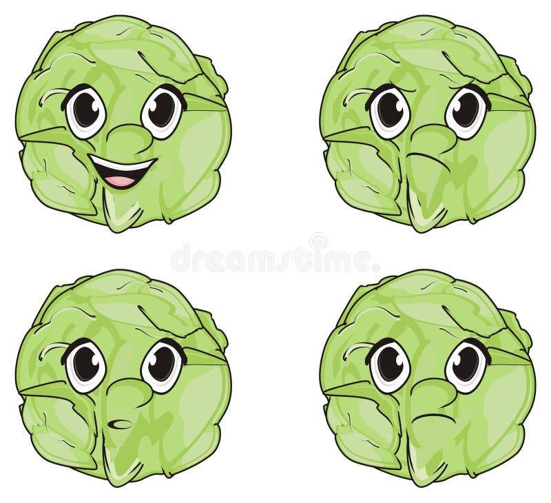 Faces of cabbages stock illustration. Illustration of round - 90225433