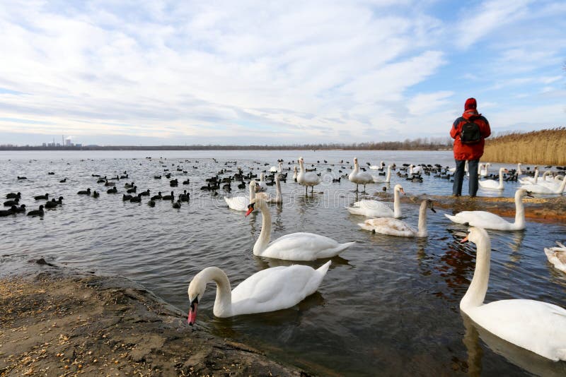 Faces of nature stock photo. Image of summer, river, smile - 13225288