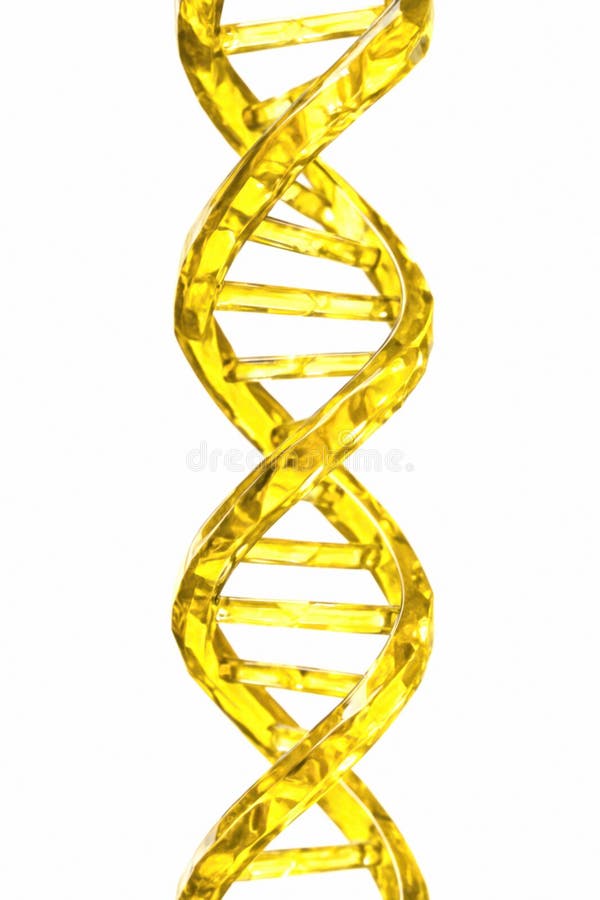 Faceted Yellow 3D DNA Helix on White Background Stock Illustration ...