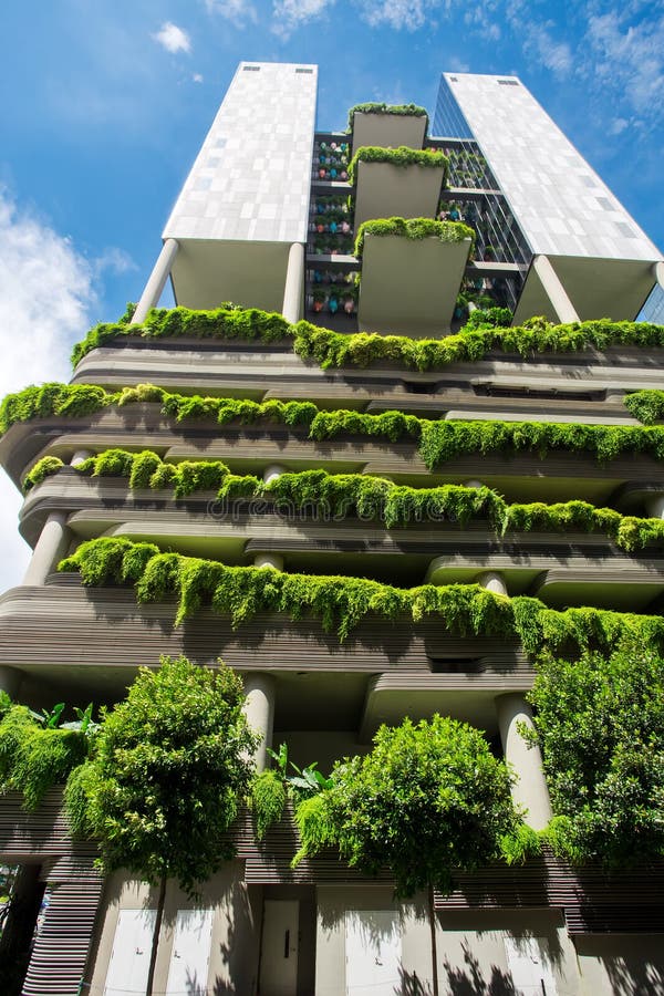 Fachada Verde De La Naturaleza En El Edificio Moderno Imagen de archivo ...