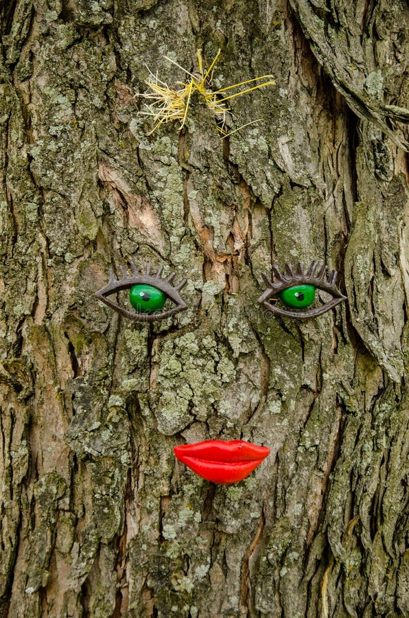 Tree With Facial Expression Watching You Stock Photo - Image of nose ...
