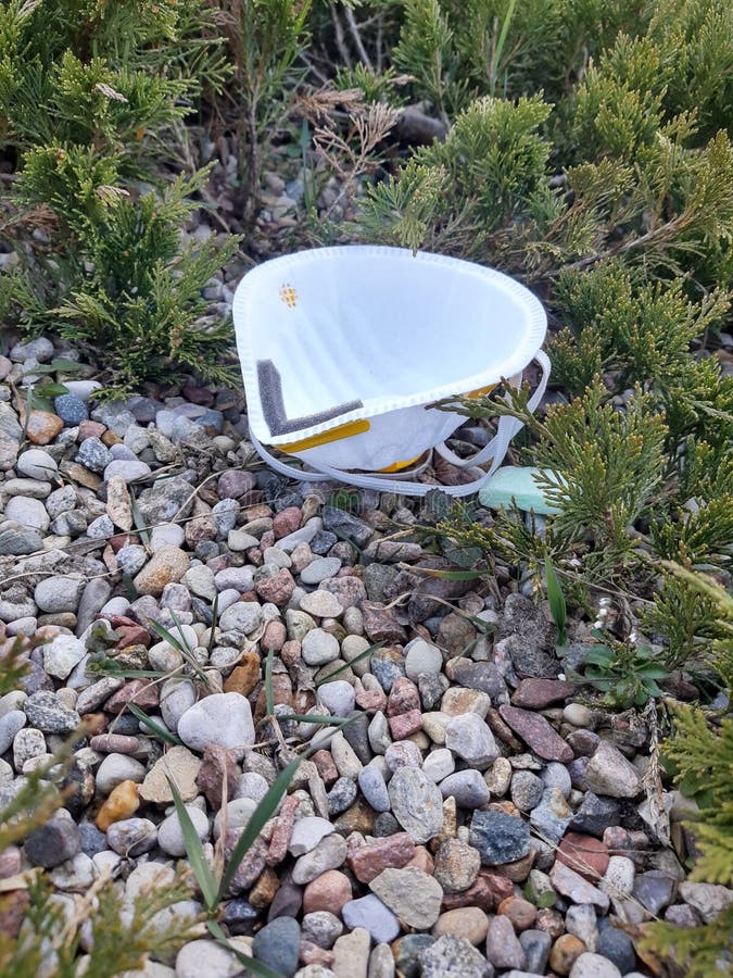 Facial Mask Fallen on the Ground. Stock Photo - Image of soil, tree ...