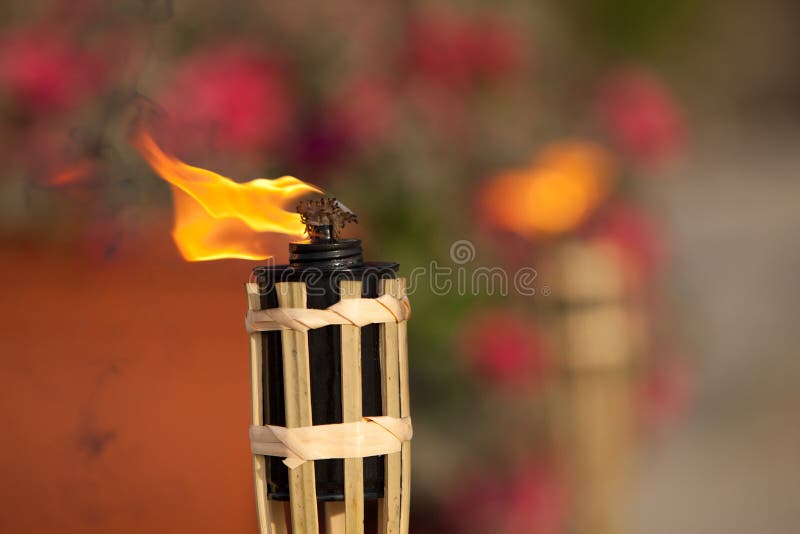 Fackel eine stockbild. Bild von fackel - 38341787