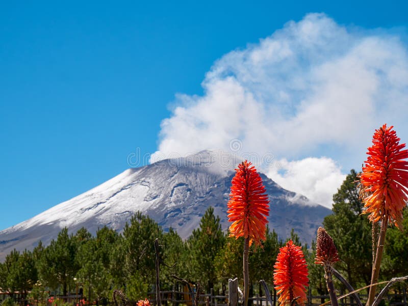 Itza-Popo Nationalpark- Und Popocatepetl-Vulkan Stockbild - Bild von ...