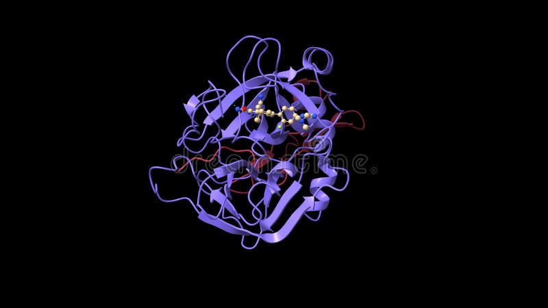 Coagulation Cascade Animation