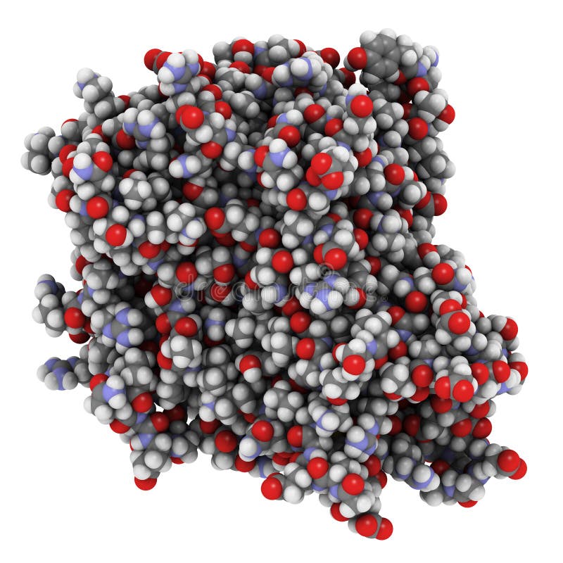 Factor De Necrosis De Tumor (TNF, Cachexin, Cachectin) Imagenes de ...