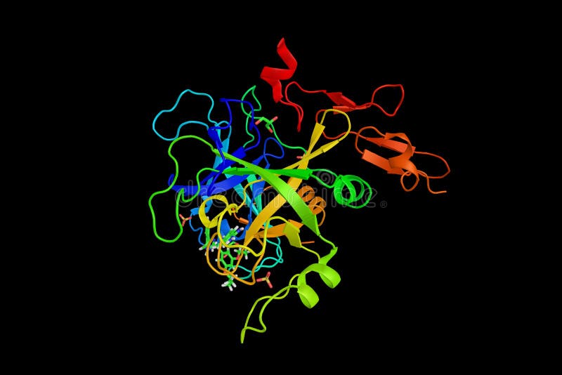 Factor VII, Una De Las Proteínas Que Hace Sangre Coagular En Stock de ...