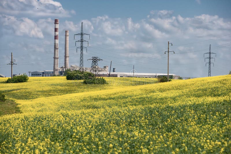 Green factory stock image. Image of feed, industry, grain - 32720999