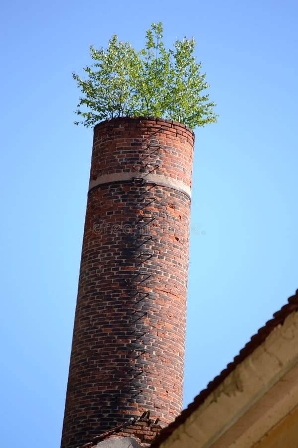 From Factory Chimney Grow Trees Stock Image - Image of grow, chimney ...