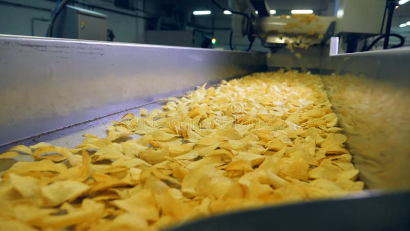 Factory Conveyor Moving Fried Chips after Sorting, Slow Motion. Stock ...