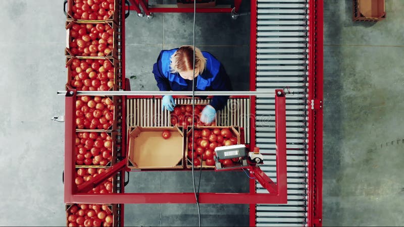 Woman Sorting Cardboard Boxes for Garbage during the Day on the Veranda ...
