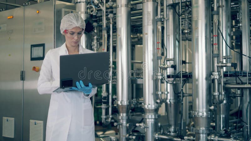 Factory Employee is Observing Production Process in a Factory Stock ...