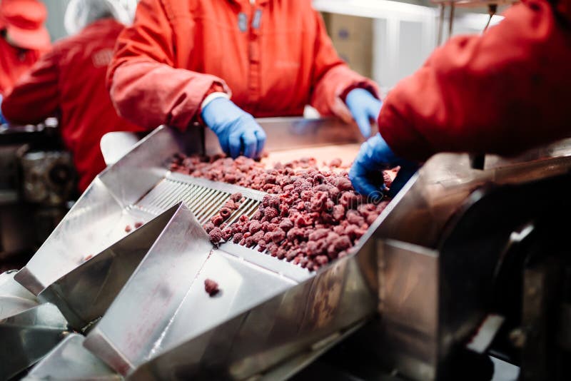 Frozen Food Factory Interiors Stock Image - Image of frosted ...