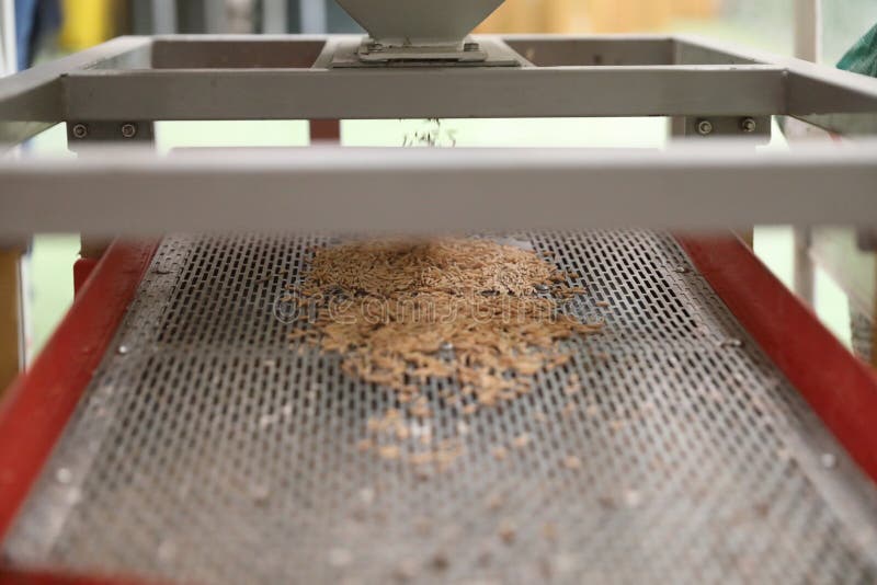 Factory Machine Milling Rice Stock Image - Image of metal, organic ...