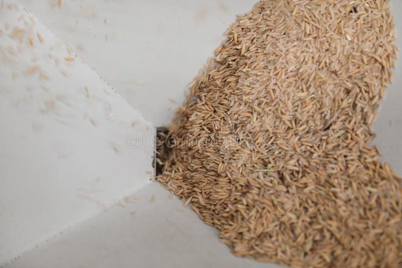 Factory Machine Milling Rice Stock Image - Image of healthy, ingredient ...