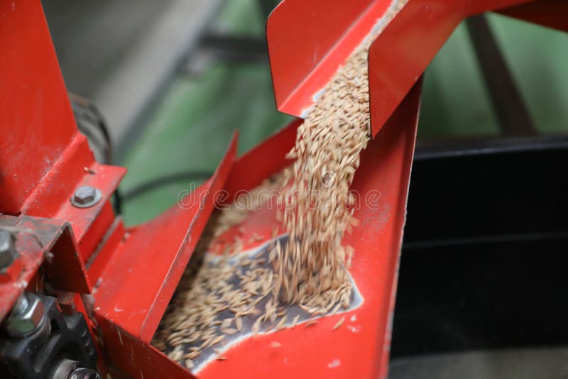 Factory Machine Milling Rice Stock Photo - Image of ingredient, factory ...