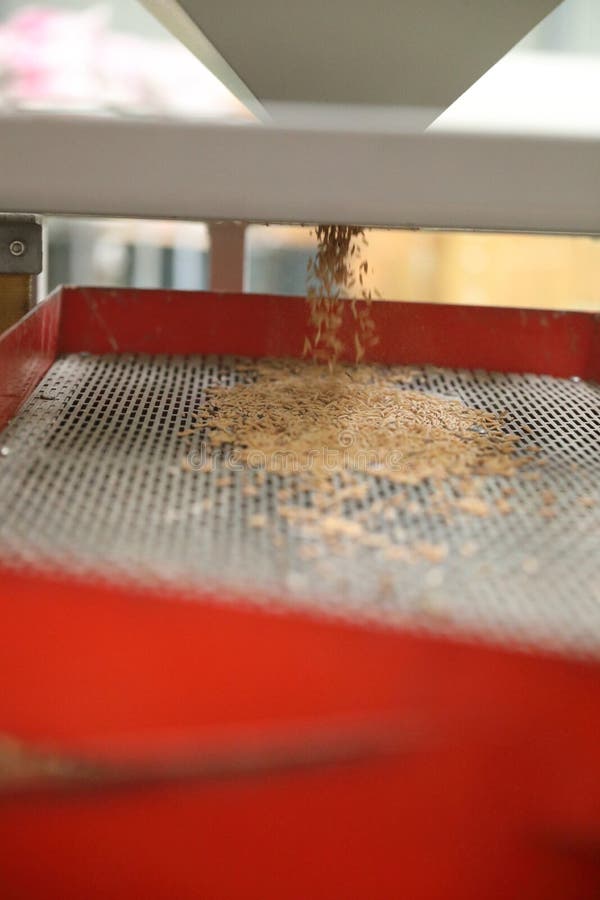 Factory Machine Milling Rice Stock Photo - Image of process, crop ...