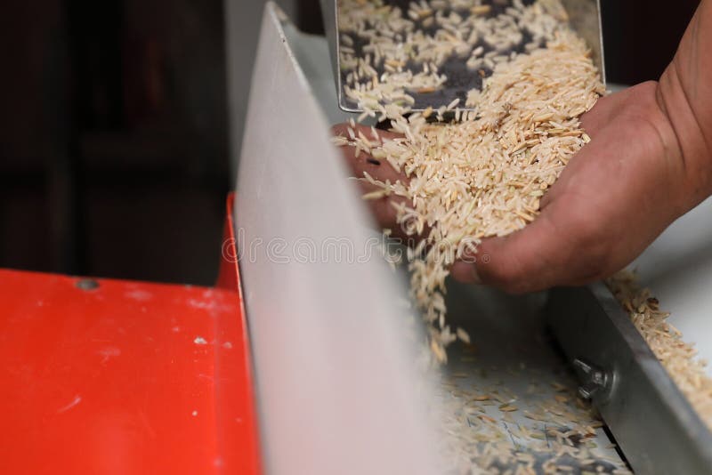Factory Machine Milling Rice Stock Image - Image of nature, harvest ...