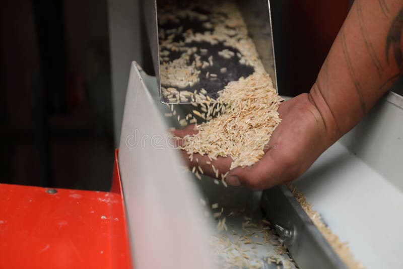 1,102 Rice Plant Factory Stock Photos - Free & Royalty-Free Stock ...