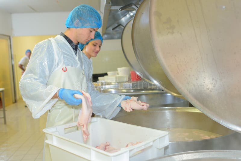 Factory Operative Dropping Chickens into Vat Stock Image - Image of ...
