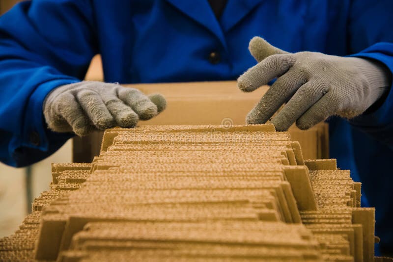 Factory for the Production of Corrugated Cardboard Stock Image - Image ...