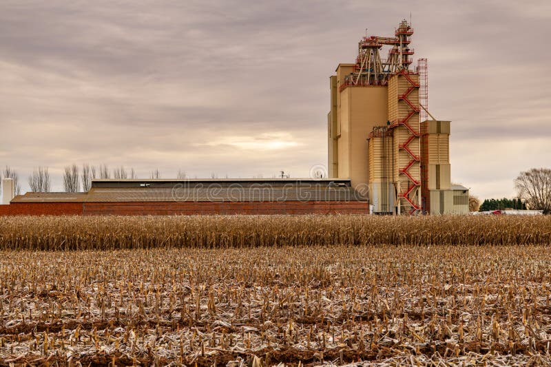 Factory for the Production of Food for Farm Animals Stock Image - Image ...