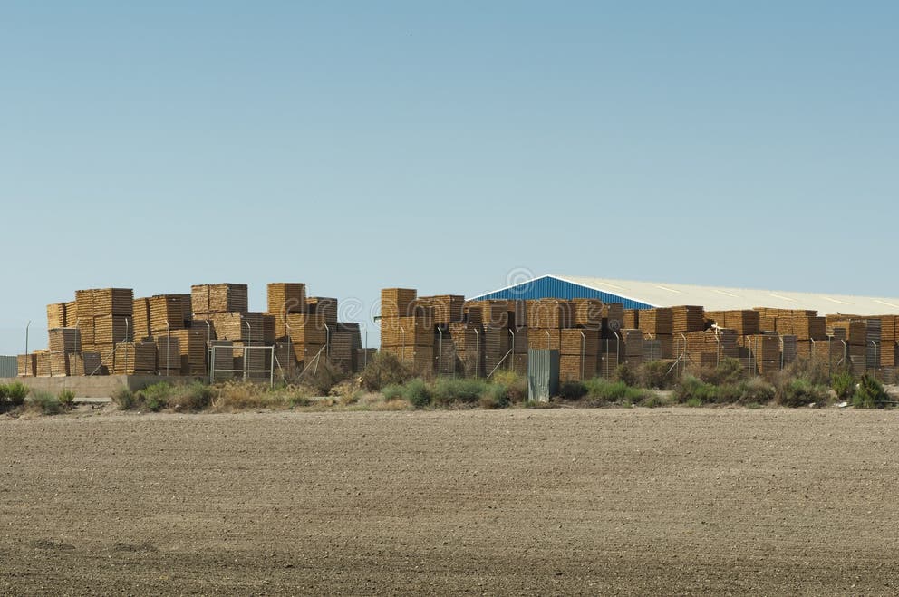 Factory Production of Pallets Stock Image - Image of palette, industry ...