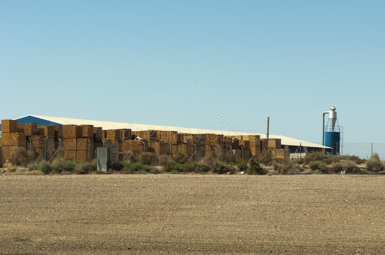 Factory Production of Pallets Stock Photo - Image of platform, beige ...