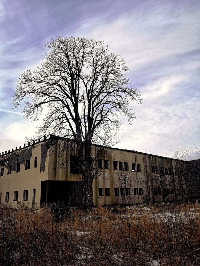 Burnt factory. stock photo. Image of landscape, factory - 281927624