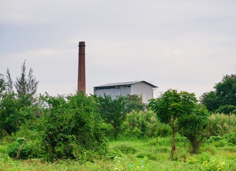 Factory Surrounded by Trees in a Forest Stock Image - Image of building ...