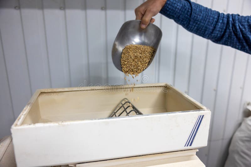 Factory Worker Getting Ready for Beer Brewery Stock Image - Image of ...