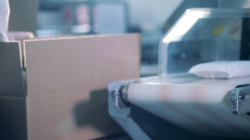 Factory Worker is Putting Packages into Boxes Stock Video - Video of ...