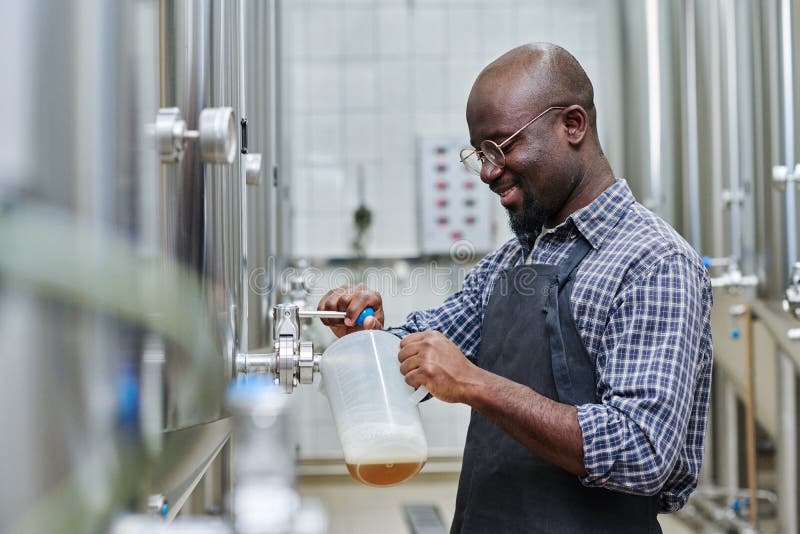 Factory Worker Tasting Brewed Beer Stock Photo - Image of pour ...
