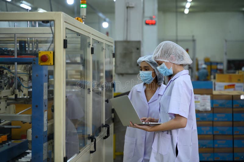 Factory Workers Overseeing Automated Packaging Equipment in Canned Fish ...
