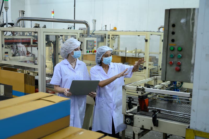 Factory Workers Overseeing Automated Packaging Equipment in Canned Fish ...