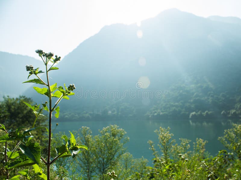 Facula stock image. Image of gorgeous, comfortable, evening - 45258391