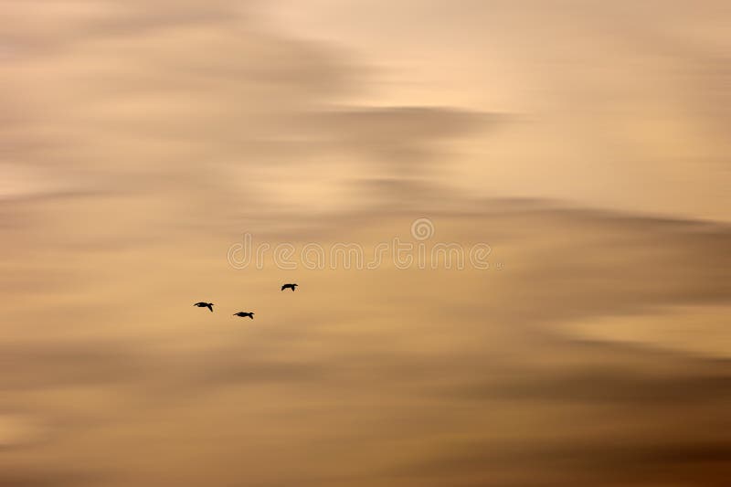 Fade sky stock photo. Image of spring, cloud, wild, stripes - 55576994