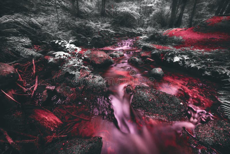 Faded forest stream stock image. Image of river, blurred - 20581211