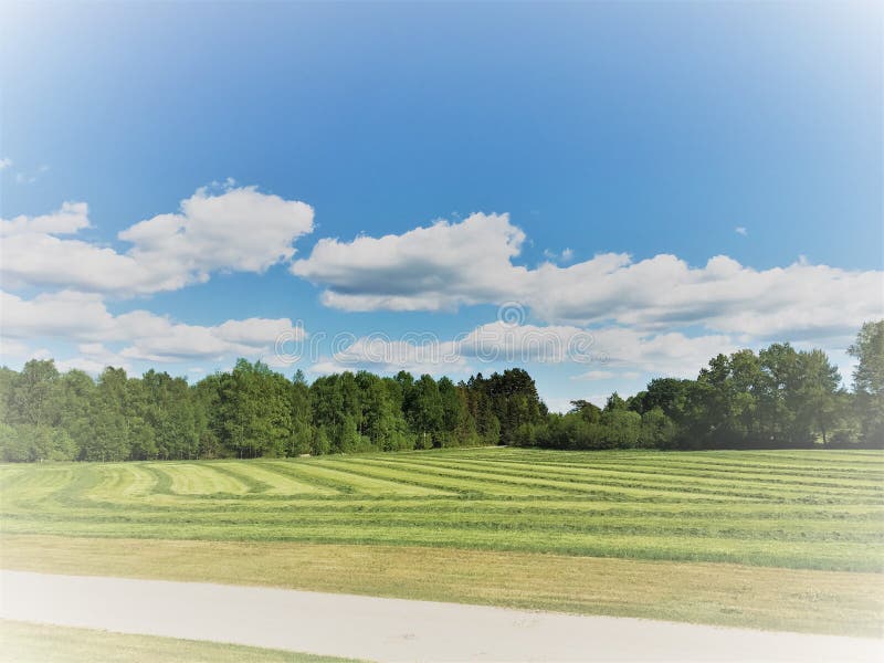 Faded Newly Cut Grass Field Stock Photos - Free & Royalty-Free Stock ...