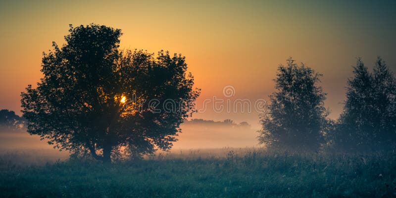 Faded Nature in Late Summer and Autumn Stock Image - Image of leaf ...