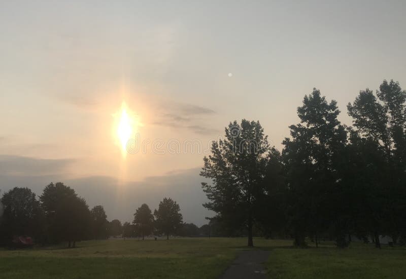 Faded Sun stock photo. Image of middle, forest, faded - 203364810