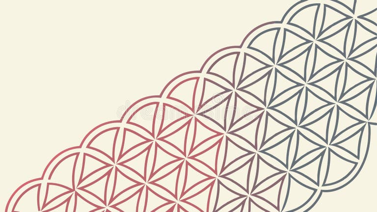 Fading Flower of Life Pattern Vector Corner Design Vector Design ...