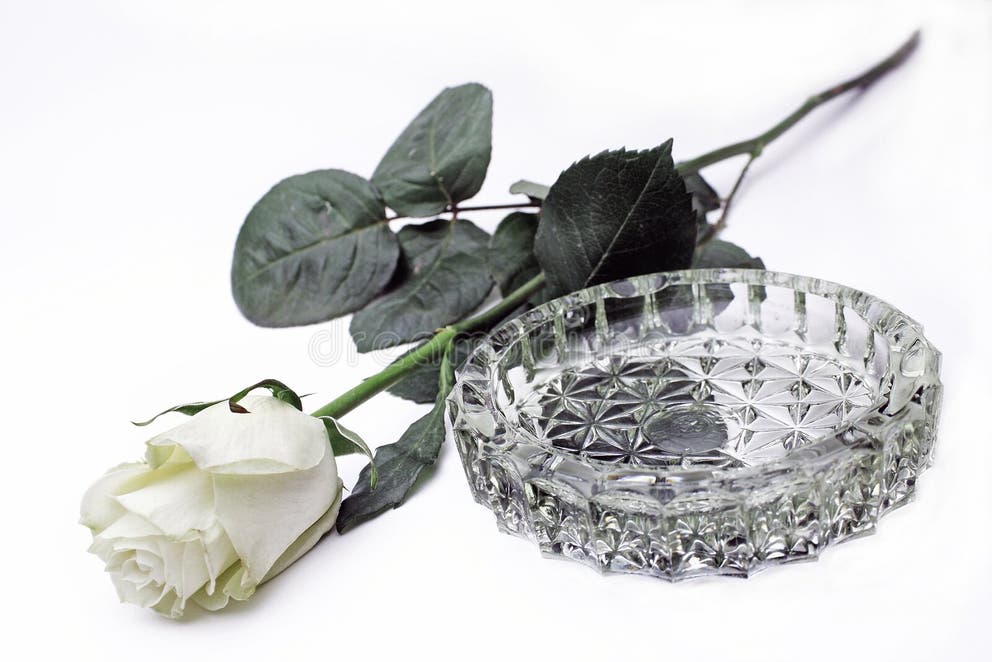 Fading life stock photo. Image of smoking, fading, flower - 13522374