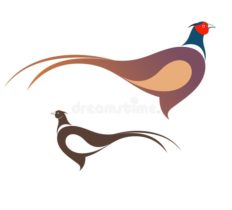 Fagiano illustrazione vettoriale. Illustrazione di anello - 43119147