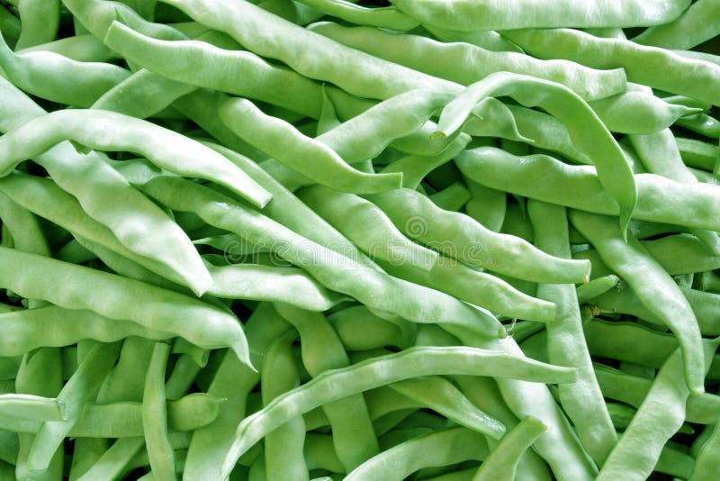 Fagioli freschi immagine stock. Immagine di cucina, sfondo - 43358723