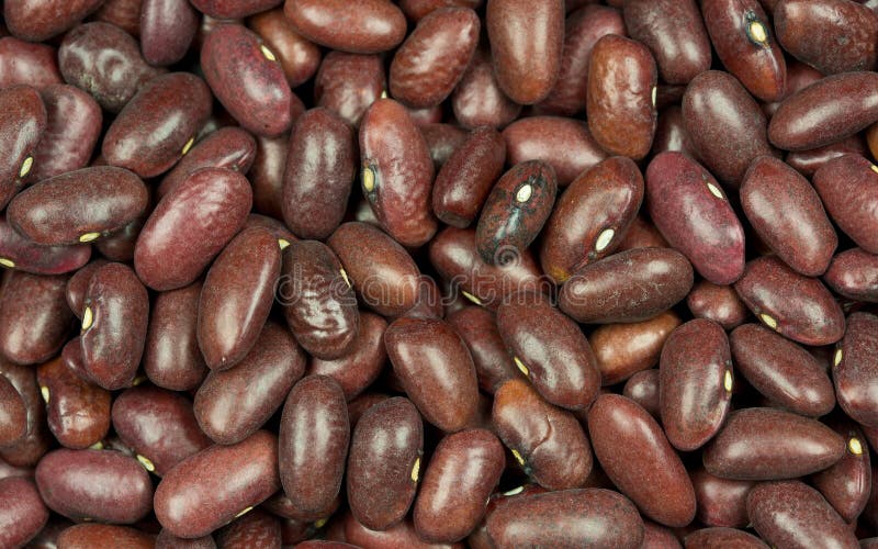 Fagioli Rossi Per Priorità Bassa Fotografia Stock - Immagine di macro ...