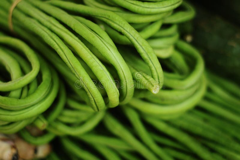 Fagiolini Lunghi Foto Stock - Download 91 Royalty Free Photos